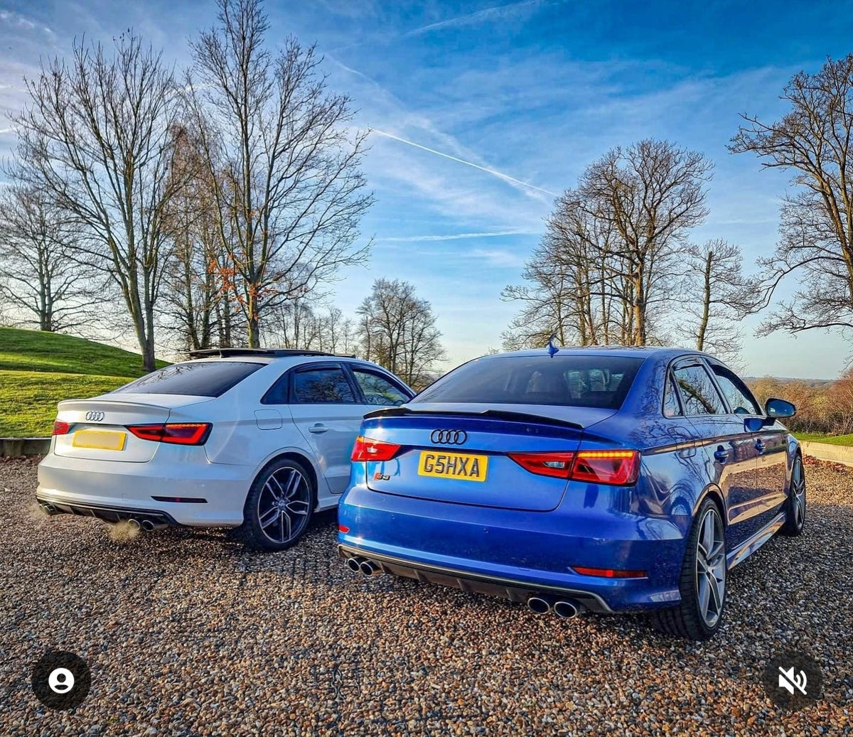 Mamba Blue Audi S3 with some 3D gel plates – Crystal Plates